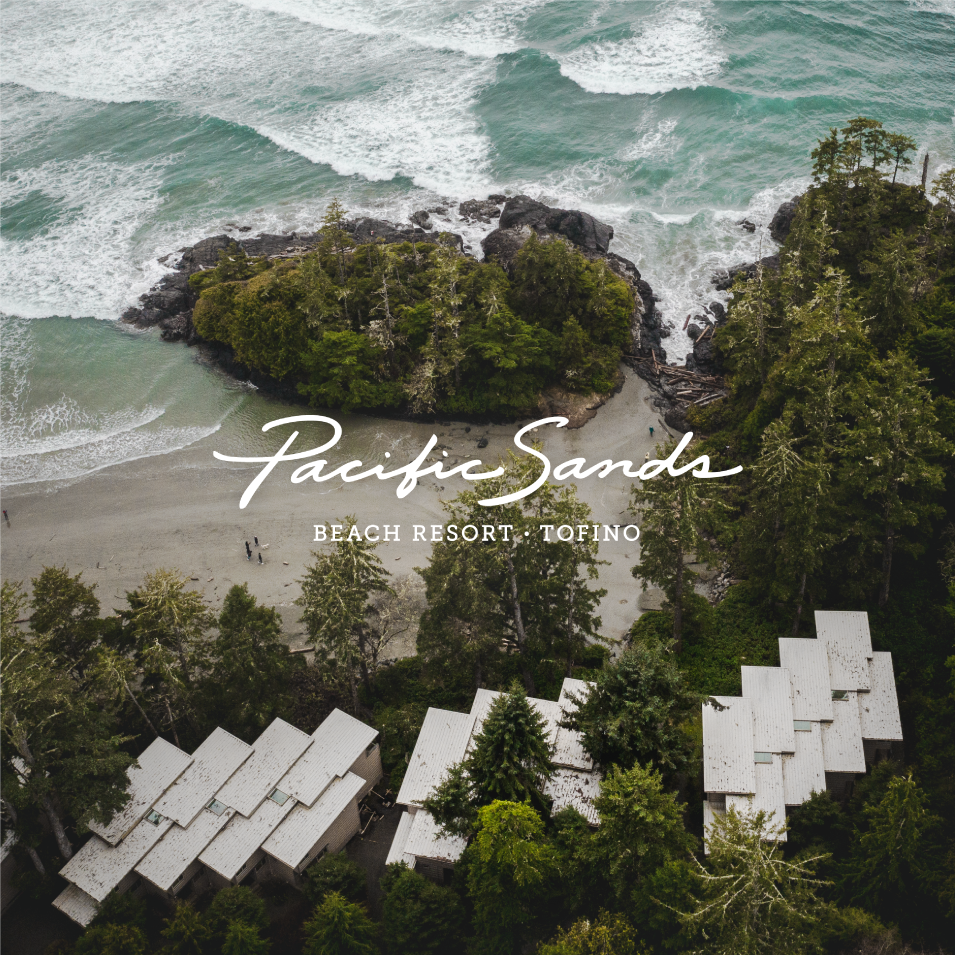 Digital Marketing for a Beach Resort | Case Study