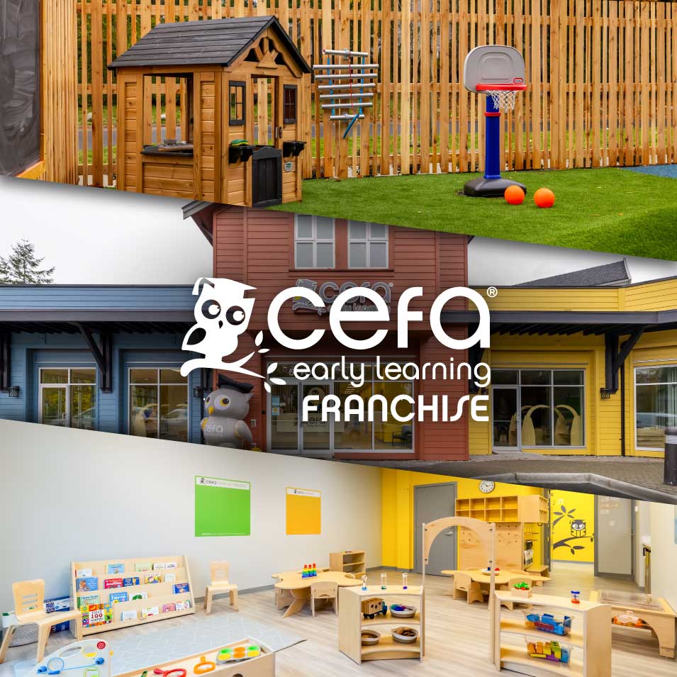 CEFA Franchise Marketing By Ollo Metrics (Case Study)